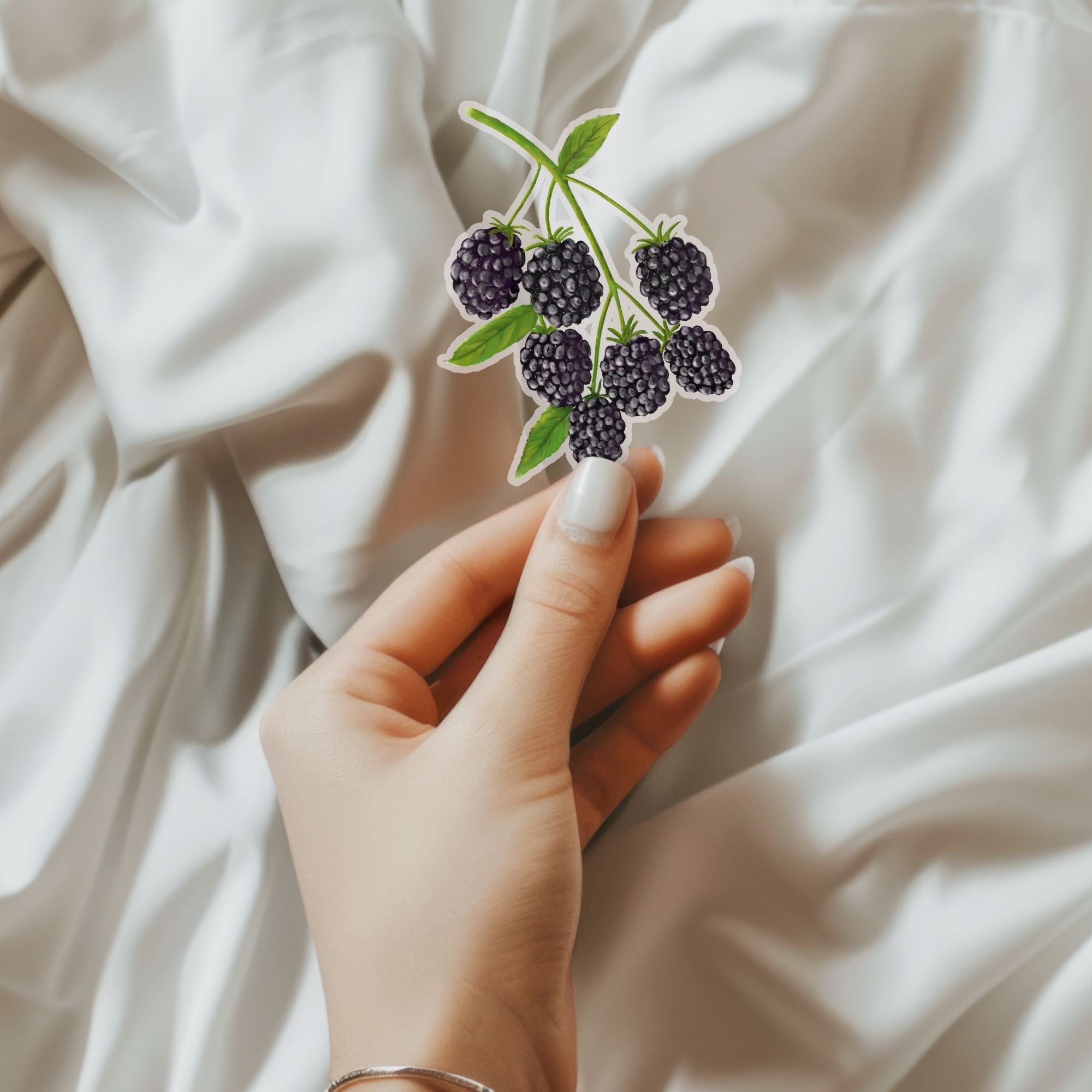 Blackberry Sticker – Watercolor Fruit Vinyl for Nature-Inspired Decor ...